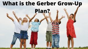 Understanding the Gerber Grow-Up Plan - Key Technology Finances